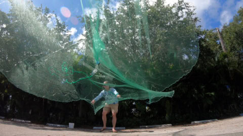 CAST NETS: EVERYTHING YOU NEED TO KNOW - Vero Tackle & Watersports